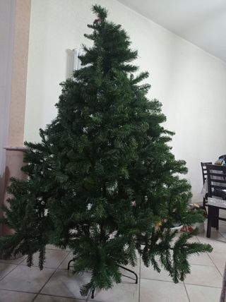 albero di natale