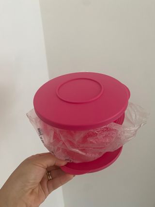 Contenitore da cucina, Tupperware