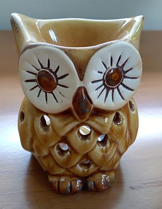 brucia essenze candela gufo