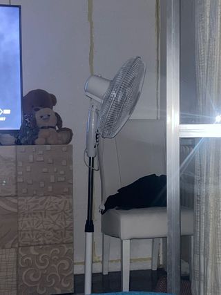 ventilatore