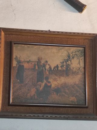 Quadro donne nei campi