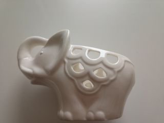 Hervit elefantino traforato