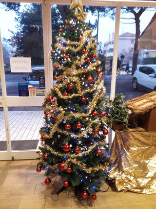 Albero di Natale completo