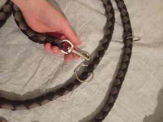 guinzaglio cane allungabile o restringibile
