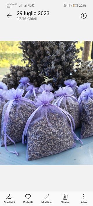 Sacchetti lavanda