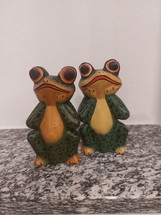 Coppia di ranocchie