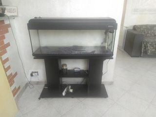 Acquario 100 litri
