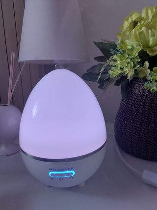 Diffusore fragranze 🌱🪻