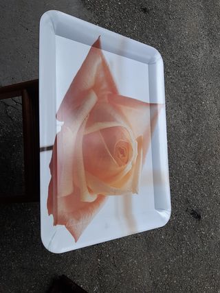Vassoio con rosa