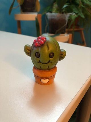 Cactus piantina Thun