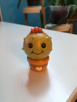 Cactus piantina Thun