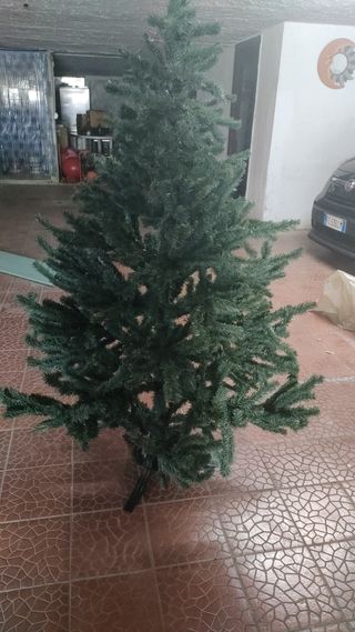 Albero di natale