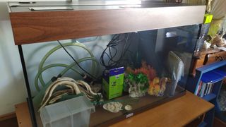 Acquario 125 l