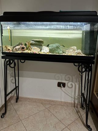 acquario