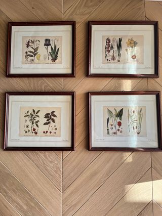 set 4quadri l’amico dei fiori