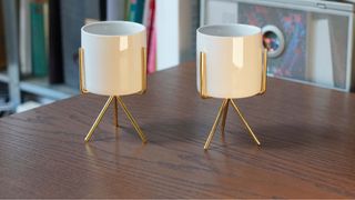 Coppia di vasi decorativi dell'Ikea