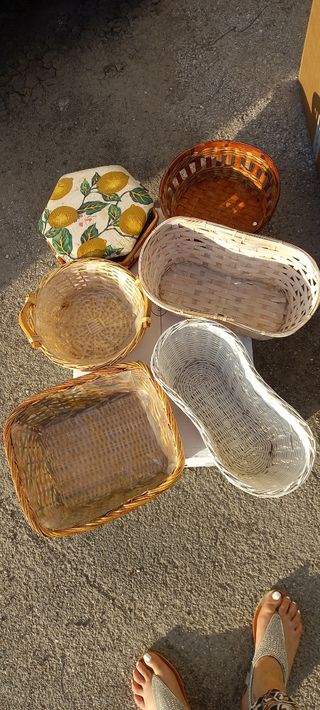 vari cesti e vari modelli euro 2 cad