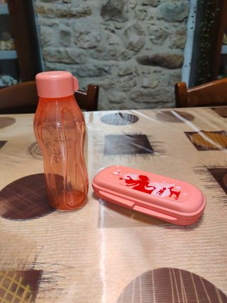 Ostrica con bottiglietta da 310 ml