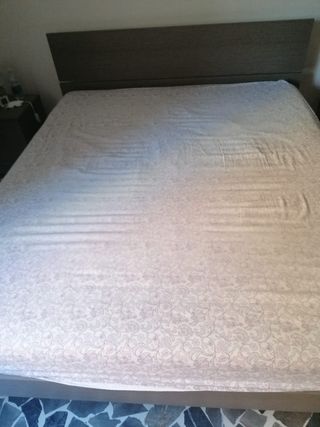 Vendo struttura letto +rete