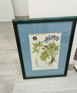 Quadro vintage