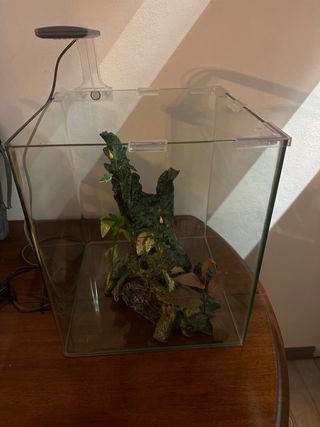 Acquario mai usato