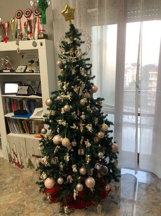 Albero di Natale