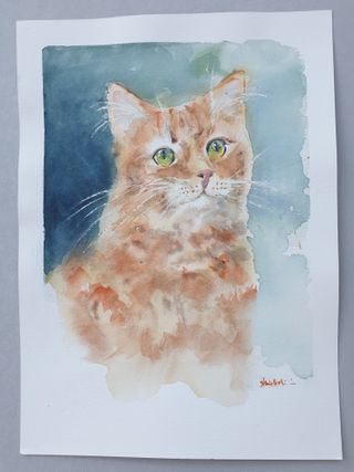 ritratto gatto ad acquerello
