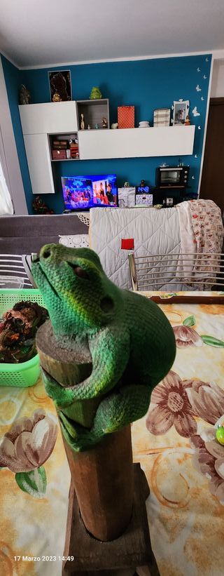 Brucia porta Incenso in legno a forma di rana