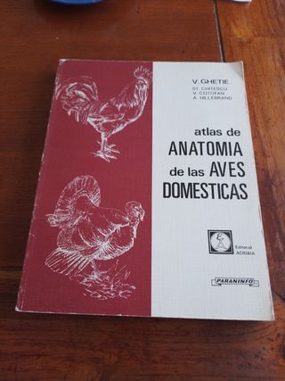 Atlas de Anatomía de aves domésticas de segunda mano por 16 EUR en Madrid en WALLAPOP
