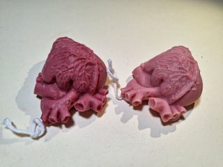 Candela Cuore Anatomico