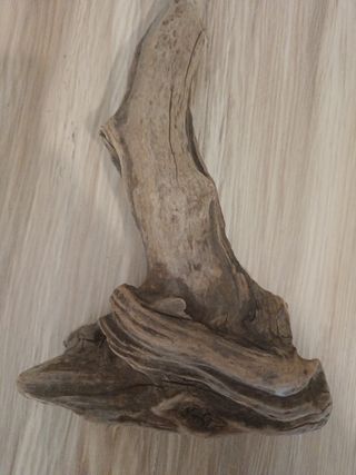 Legno per terrario