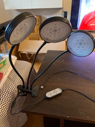 lampada coltivazione indoor