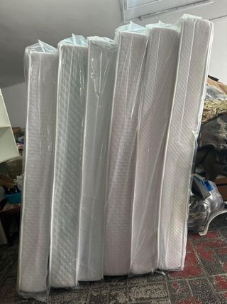 matetasso mstrimoniale