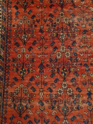 Tappeti persiani orientali annodati a