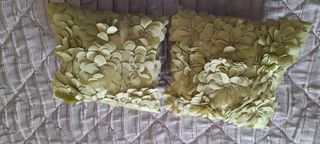 Coppia di cuscini arredo