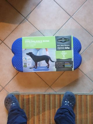 cuscino esercizi propriocettivi cane