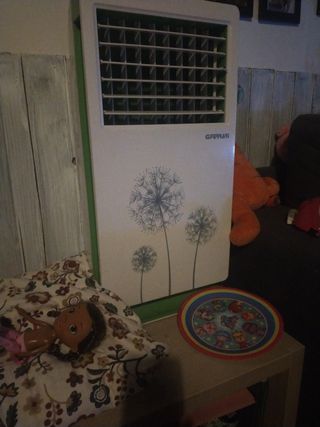 Ventilatore e nebulizzatore