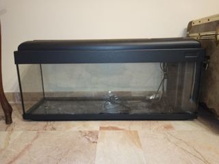 ACQUARIO
