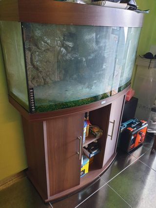 Acquario 100l