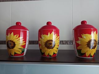 Contenitori in ceramica