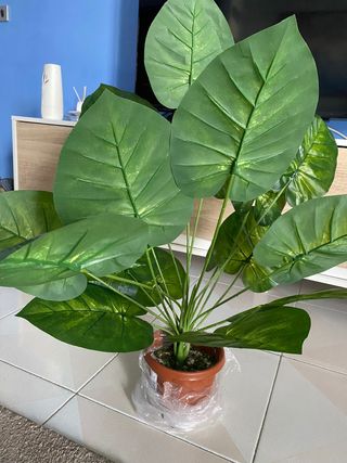 Pianta artificiale tutta verde