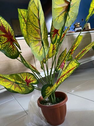 Pianta artificiale foglie multicolore