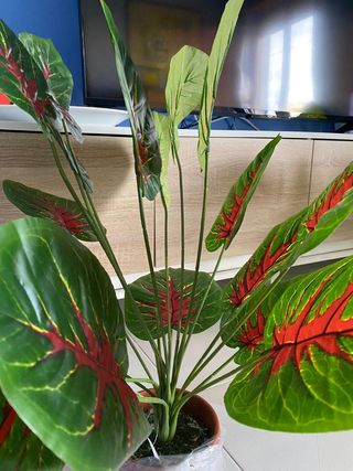 Pianta artificiale verde e rossa