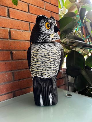 Gufo da esterno in plastica