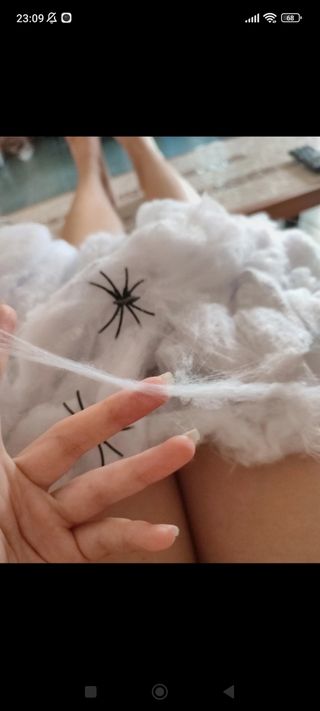 Ragnatela e ragni halloween