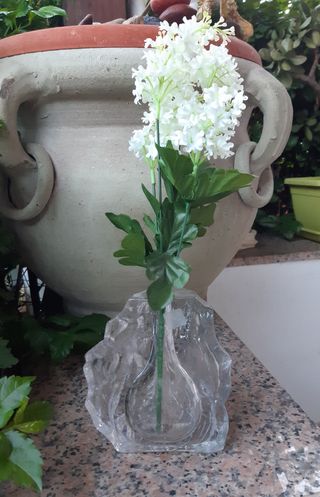 Vaso di cristallo VinTage