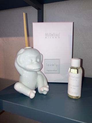 prpfumatore ambiente