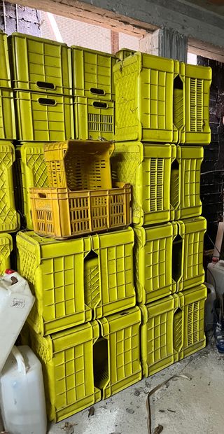 cassette in plastica per Frutta / Uva / olive