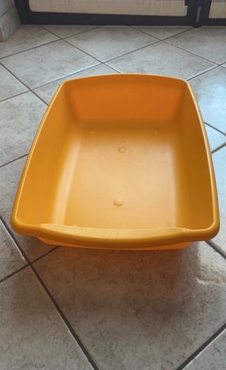 lettiera grande per gatti