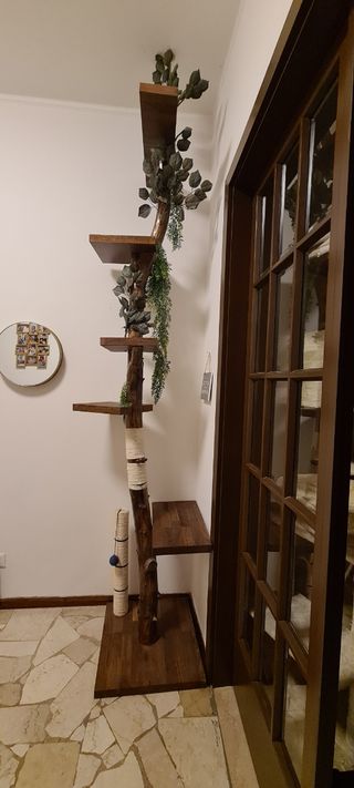 Albero naturale per gatti